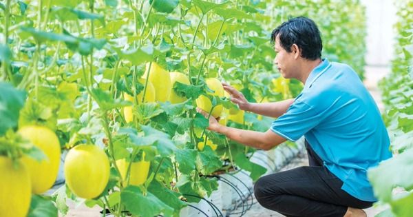 Đồng Nai đặt mục tiêu cao trong xây dựng nông thôn mới