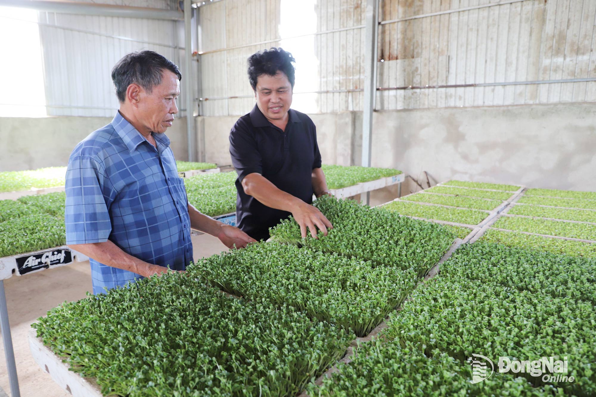 Xuân Lộc phát triển nông nghiệp công nghệ cao